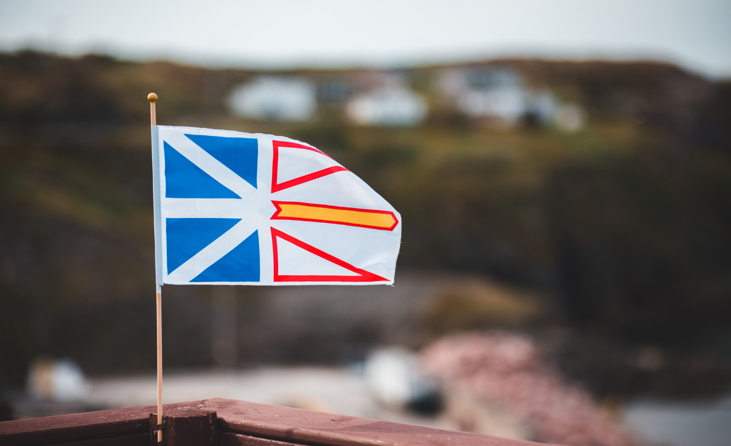 Newfie Slush Bucket – Island Treasures NL